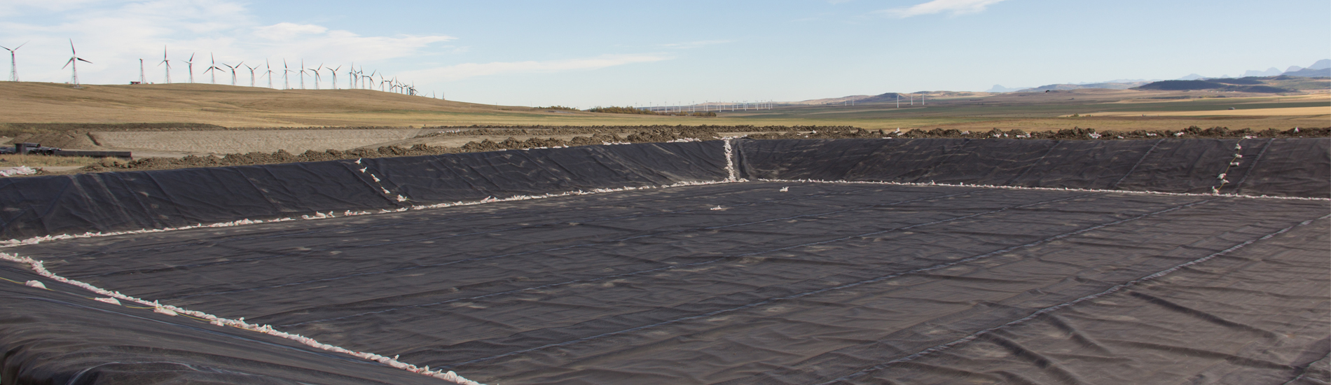 job_alberta - FC Liners